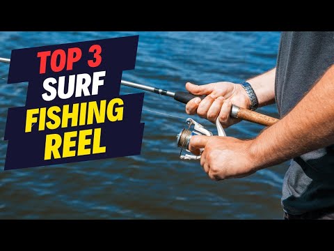 Top 3 Best Surf Fishing Reels for Every Angler On Aliexpress On Amazon