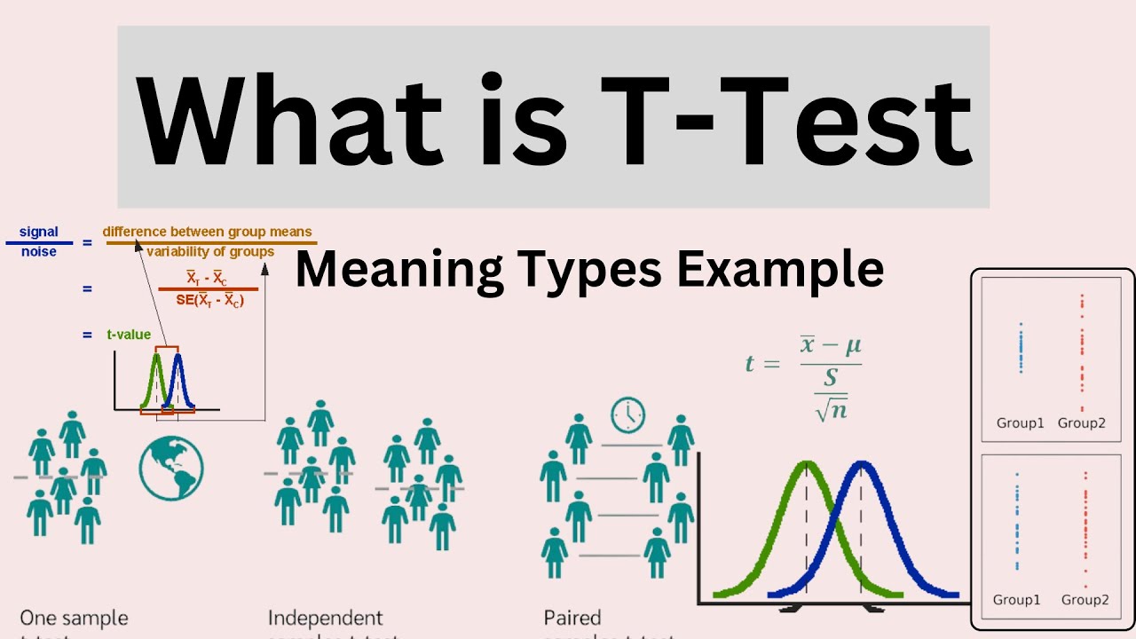 What is T- Test |  Meaning |  Types  | Example