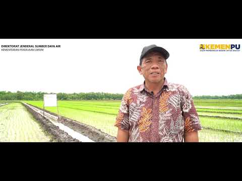 Apa Kata Mereka? - P3-TGAI Jawa Timur