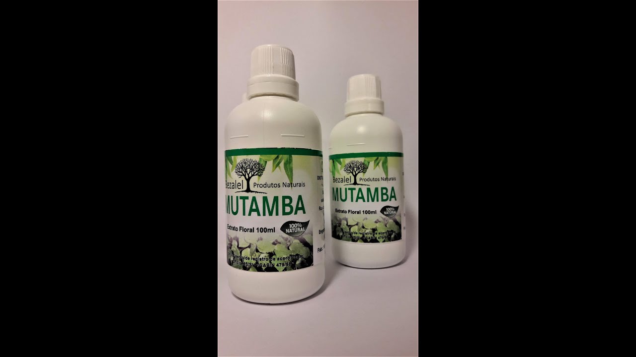 A Review of Mutamba/Guazuma Ulmifolia Lam - Brazil’s Cure for HIV Part 1/2