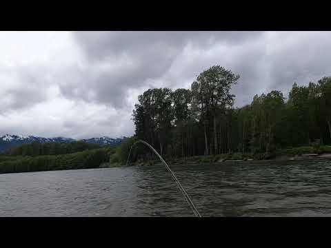 Fishing Kitimat River, lower dyke