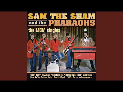 Sam the Sham and the Pharaohs — “Black Sheep”: Brace for the Obscure ...