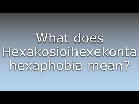 What does Hexakosioihexekontahexaphobia mean?