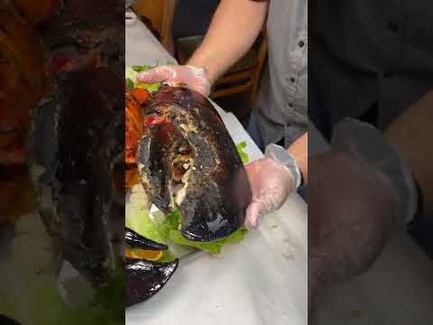 The biggest lobster I've ever seen