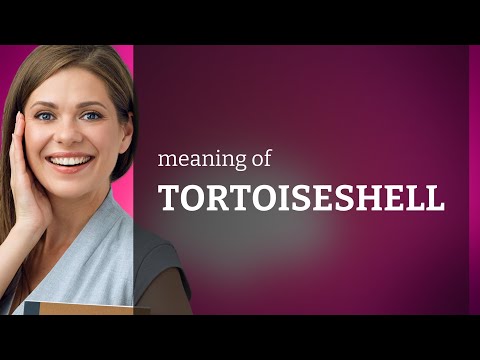 Tortoiseshell — TORTOISESHELL definition