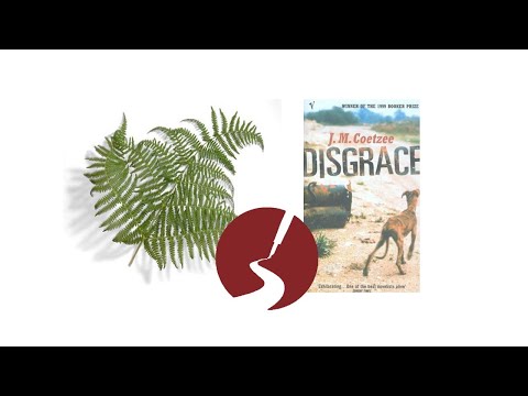 Coetzee’s Disgrace: The fractal structure of novels (tip 82)