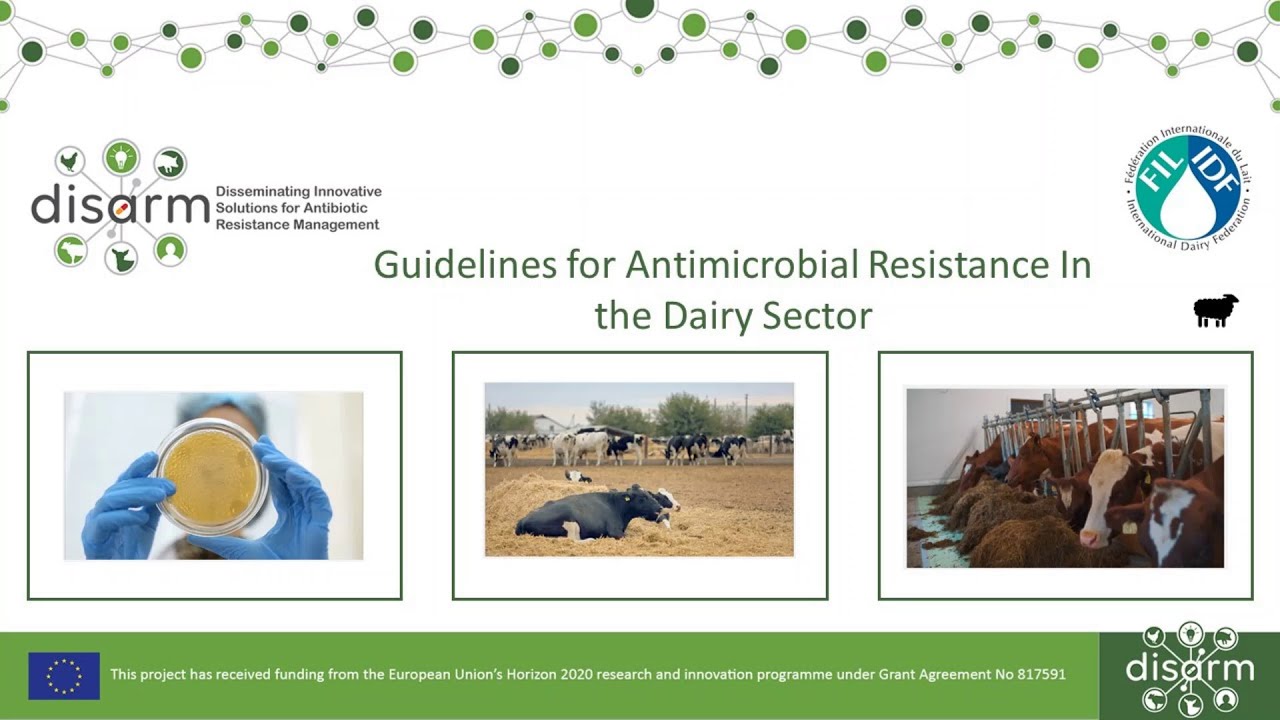 Guidelines for reducing Antimicrobial Resistance from the Dairy Sector (Part 1)