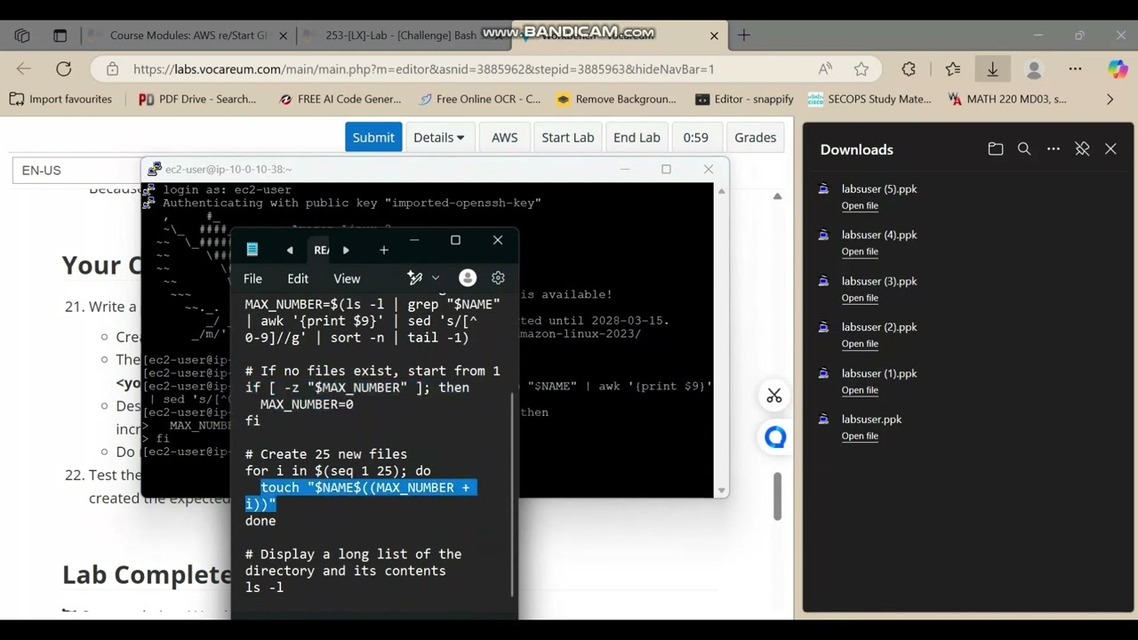 253-[LX]-Lab - [Challenge] Bash Shell Scripting