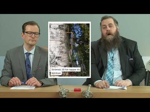 Ur Detta om detta avs.124 "Tappa björksav"