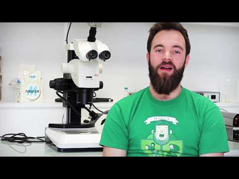 INSTANT RECHERCHE n°2 - Ulysse à la recherche des origines de la vie