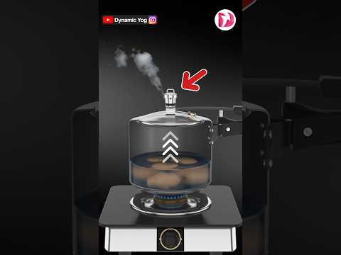 Pressure Cooker कैसे work करता है? how does the cooker work | #how #cooking
