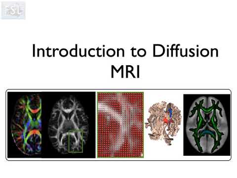 36. Diffusion 1: Introduction to DTI in FSL (Diff E1)