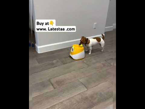 Automatic dog playing ball launcher.