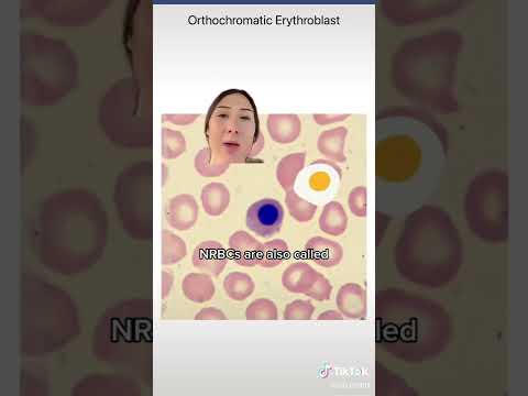 Nucleated Red Blood Cells