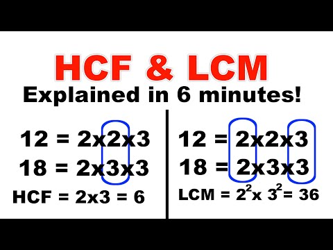 What are LCM and HCF | Learn the Difference in Minutes!