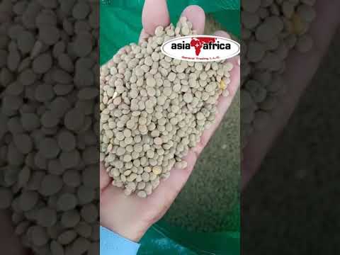 Eston Green Lentil Asia & Africa General Trading LLC Dubai