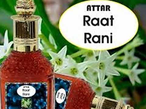Raat Rani Attar - Night Queen Attar Latest Price, Manufacturers & Suppliers