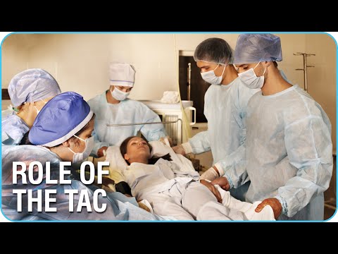 What is the TAC and what is their role?