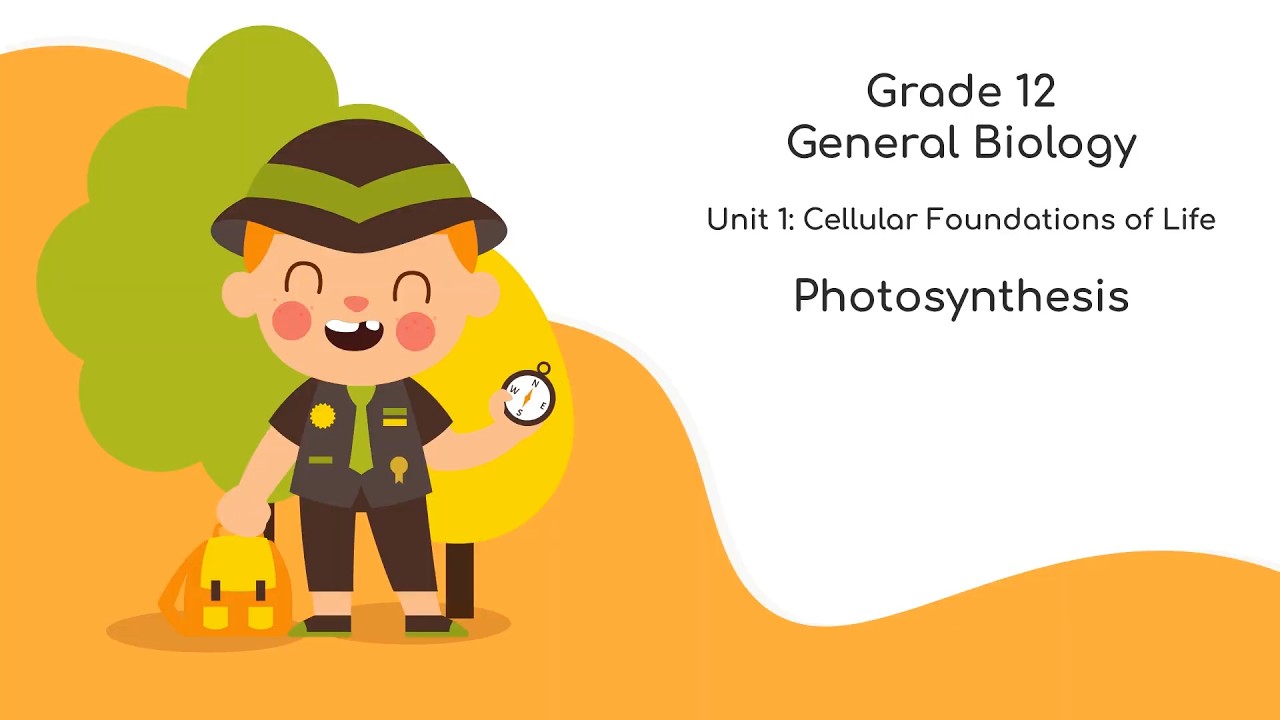 GENBIO 3 Photosynthesis