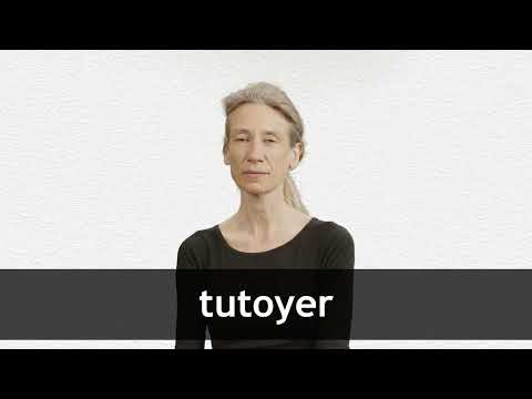 English Translation of “TUTOYER” | Collins French-English Dictionary