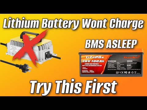 Lithium LifoPO4 Battery Wont Charge! Try This First!