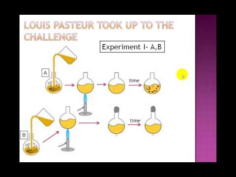 2 - In a Nutshell - The Debate over Spontaneous Generation