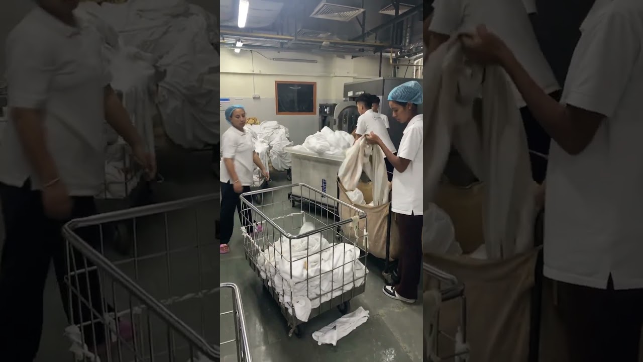 Sorting of room linen in laundry #hyattregency #machine #laundrywork #laundry #hotel #automobile