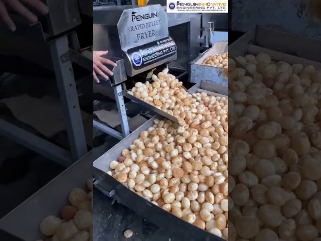 Papad Making Machines - Gehu Poori Fryer Machine Manufacturer from ...