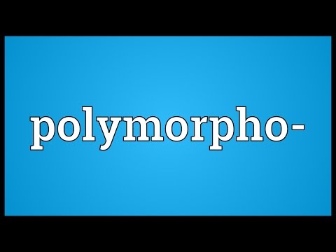 Polymorpho- Meaning