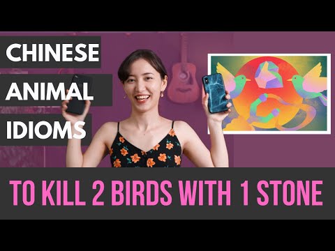 To Kill Two Birds With One Stone: Chinese Idiom Series