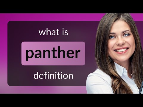 Panther — PANTHER definition