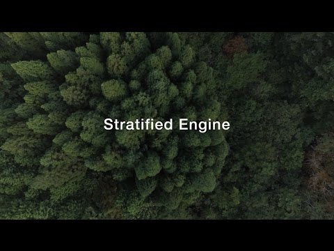 ECHO's chainsaws utilise a Stratified Engine for maximum performance and minimum emissions.