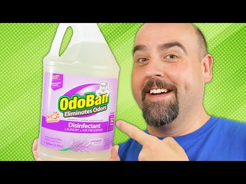 How to Make a Disinfecting Spray Solution with OdoBan Disinfectant Concentrate [Step-by-Step Guide]