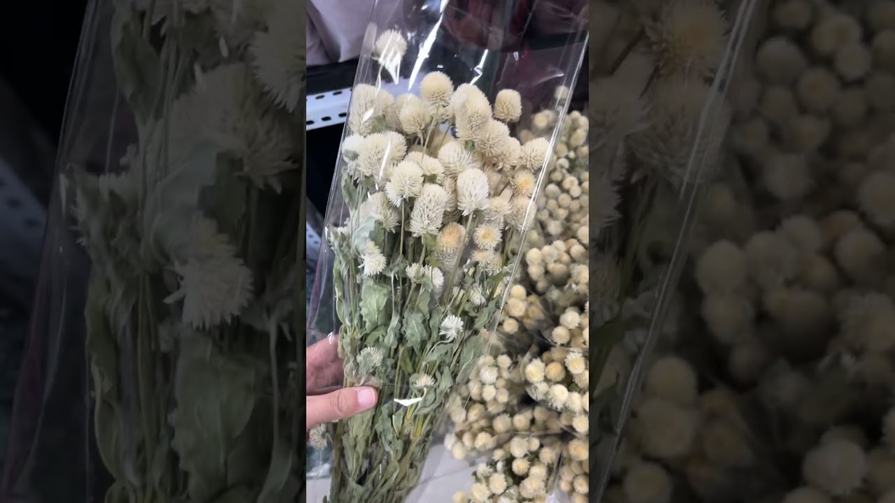 dried flower bouquet new available factory direct wholesale always best quality🌸#sayefloral #decor