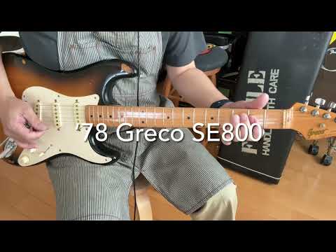 Greco SE800 Super Sound '78 Vintage MIJ Stratocaster Type | Reverb