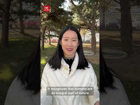 More Than Mandarin: How to use "whole world/entire globe" in Chinese?