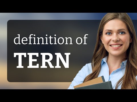 Tern • TERN meaning