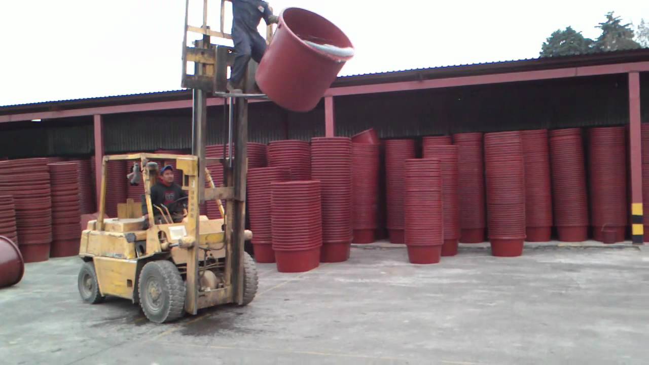 Bote irrompible de Dong Bu