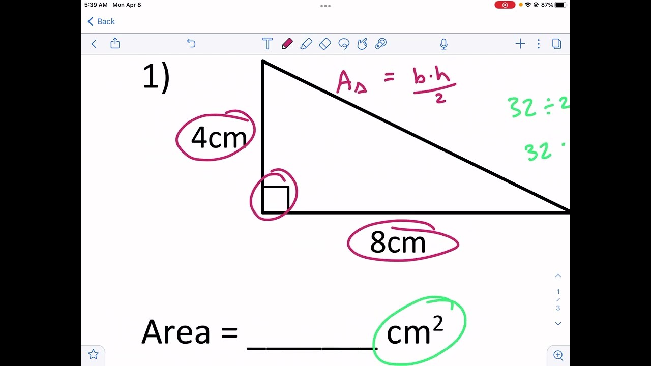 Math-Salamanders: Triangle Area Sheet 2