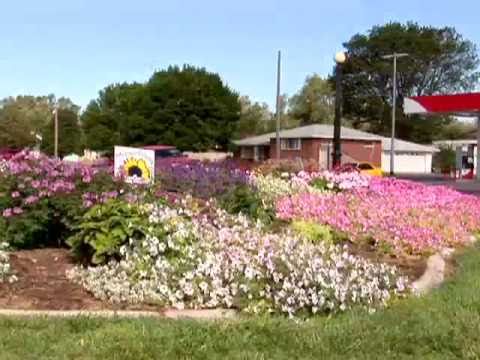 Videos - Proven Winner Flowers