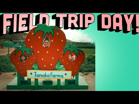 Best Family Farm Day in OC | Strawberry Picking, Petting Zoo & More at Tanaka Farms!
