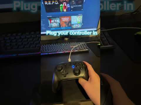 How to set your Nintendo pro controller up to your PC 
