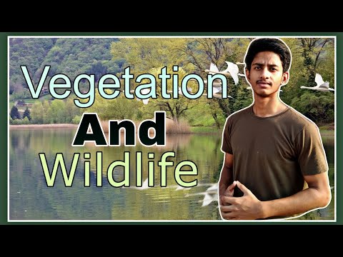 Vegetation and Wildlife in Hindi