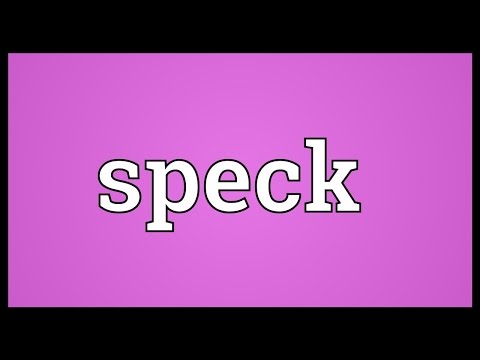 Speck Meaning