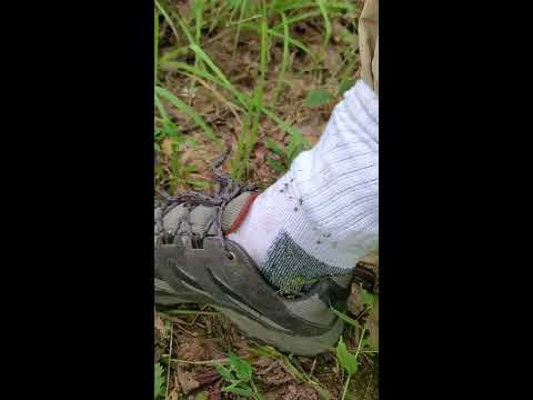 Ticks verse permethrin in action