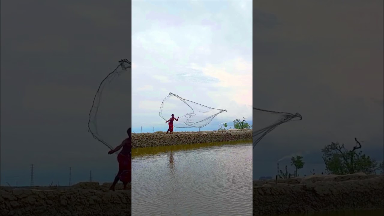 net fish #shorts #fishing