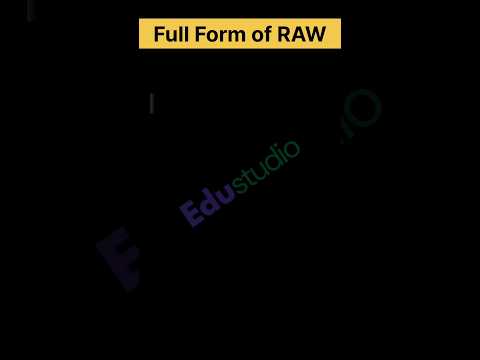 Full meaning of RAW