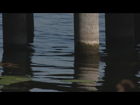 Low Twin Cities water levels leading to early end of boating season