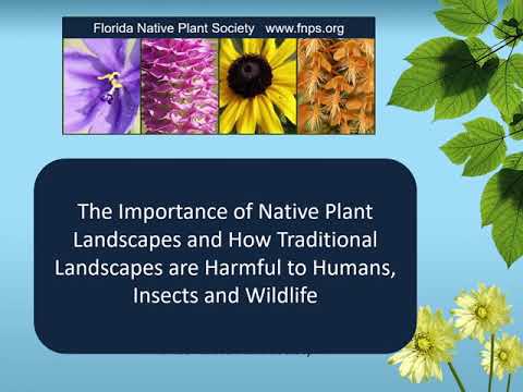 The Importance of Native Plant Landscapes with Karina Veaudry, President