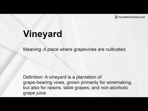 Vineyard Meaning
